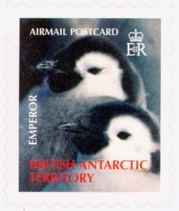 Stamp Emperor Penguin Aptenodytes Forsteri Chick British