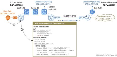 Show Bgp Advertised Routes Juniper