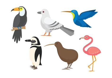 Bird Clipart Set 360304 Vector Art At Vecteezy