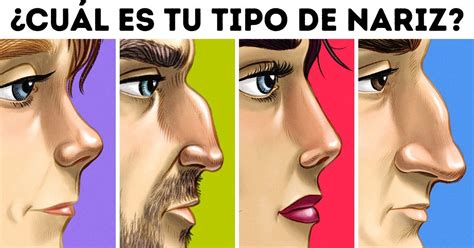 Los Tipos De Nariz Que Existen Revelan Mucho Acerca De La Personalidad