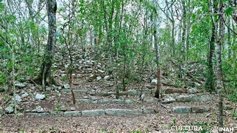 Unearthing Mayan Civilization Discovery Of Ancient City In Dense