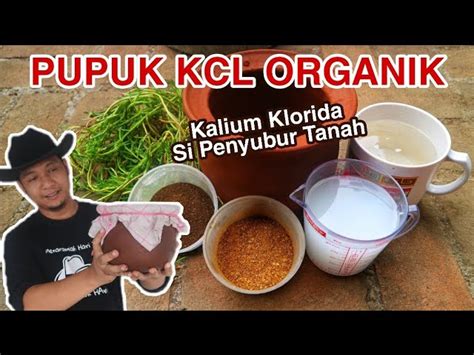 Cara Membuat Pupuk Kcl Dari Garam Sinautani