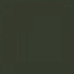 RAL 6007 Bottle Green Aerosol Spray Paint Aerosol Spray Paints Shop