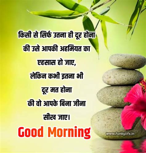 201 Good Morning Quotes Wishes in Hindi सपरभत सवचर गड