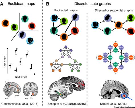 [pdf] structuring knowledge with cognitive maps and cognitive graphs semantic scholar