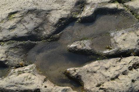 Dinosaur Footprint An Corran Photo UK Beach Guide