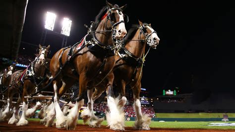 Super Bowl 2024 Commercials Budweiser Image To U