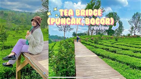 REVIEW TEA BRIDGE PUNCAK BOGOR Jembatan Panjang Di Kebun Teh Rute