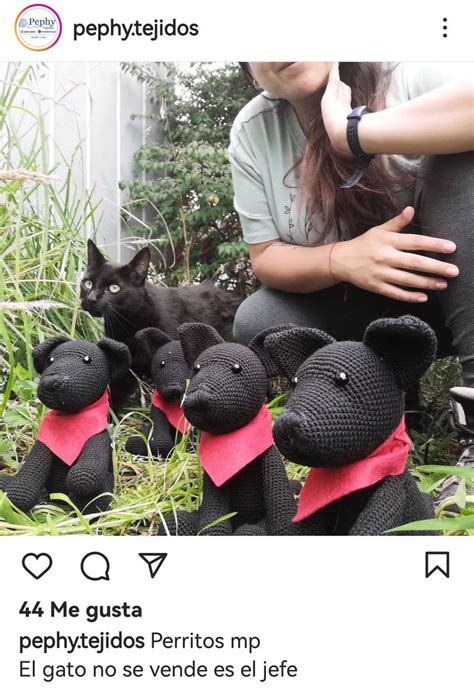 Pephy Del 38 On Twitter Mi Primera Funa Que Emocion