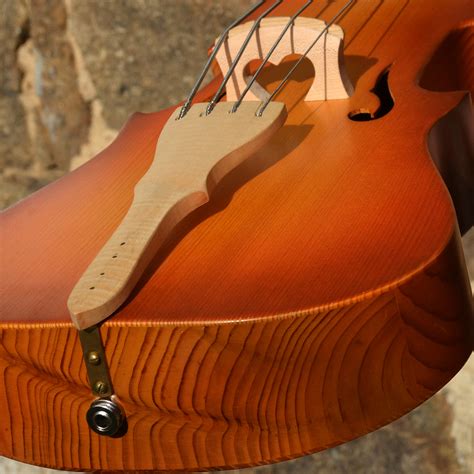 Eden B Atelier De Lutherie Philippe Berne