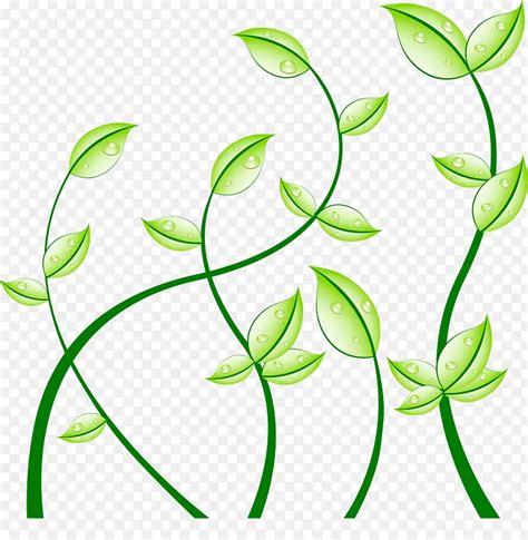 矢量生长的植物PNG图片素材下载 图片编号yemdxlng 免抠素材网