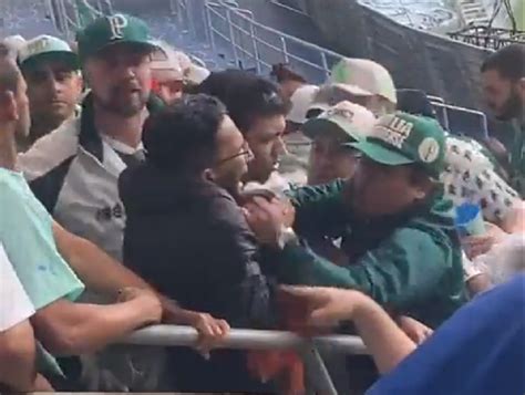 Polícia Civil identifica torcedores do Palmeiras por agressão a