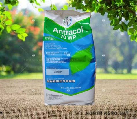 1KG Antracol 70WP Bayer Propineb 80 0 Racun Kulat Fungicide Lazada