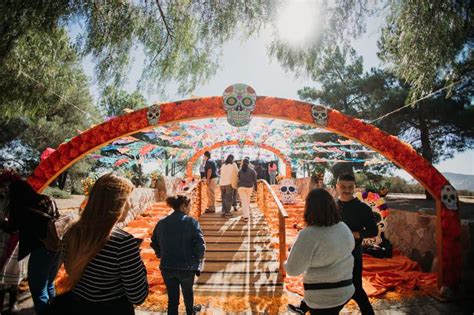 Invitan a disfrutar del XXIV Festival del Día de Muertos en Tecate