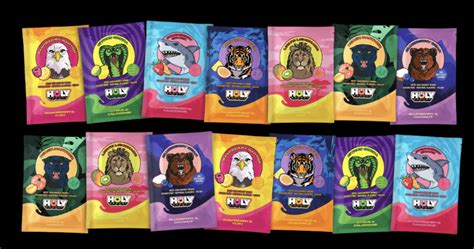 HOLY Energy Gaming Booster Test 2024 July Techwatch De