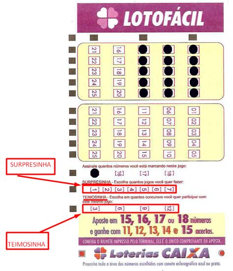 Lotofacil Para Iniciantes Como Jogar Nas Loterias