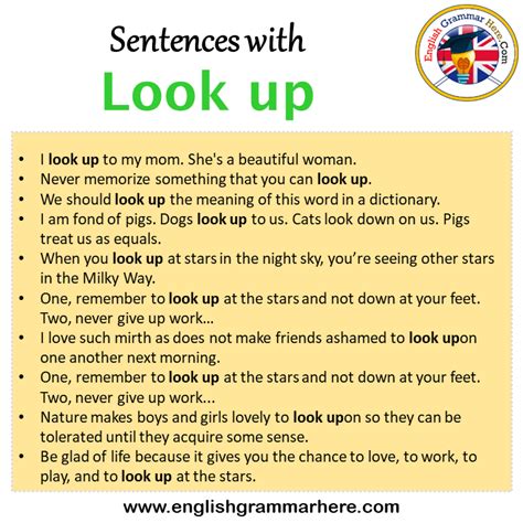 Phrasal Verbs With Pictures Examples And Meaning 43 OFF