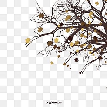 Tree Branch PNG Vector PSD And Clipart With Transparent Background