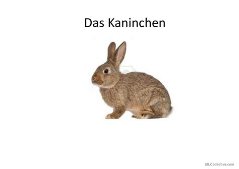 Was Passt Alles Nicht Deutsch DAF Powerpoints