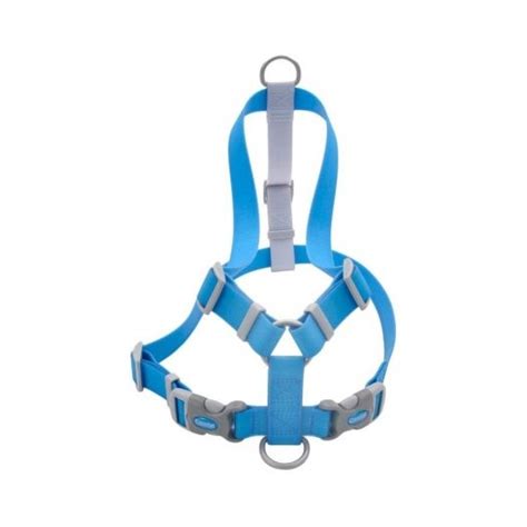 Coastal Pet Arnés Impermeable Ajustable Precio Guatemala Kemik