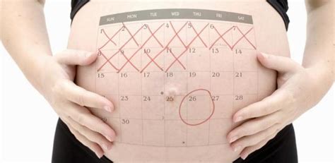 Se Puede Quedar Embarazada Despues Del Periodo Revolvediy