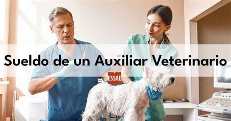 Cuánto gana un auxiliar de farmacia cruz verde Empleo y Oposiciones