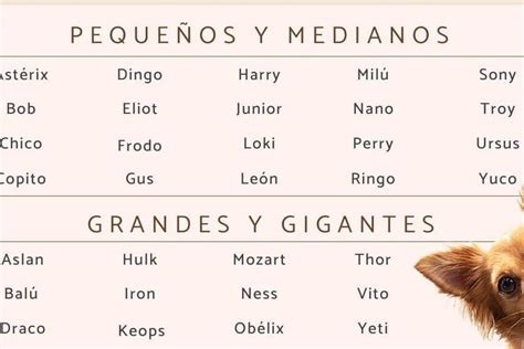 28 Divertidos Apodos Para Personas Con Sobrepeso Descubre Los