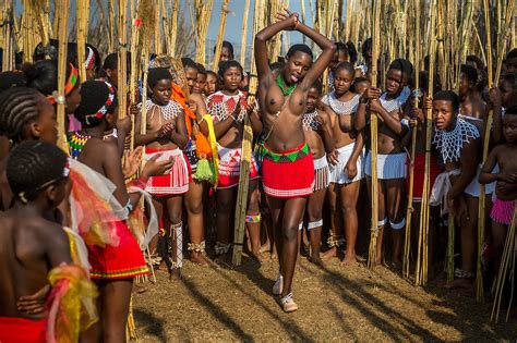 Zulu Reed Dance Ceremony