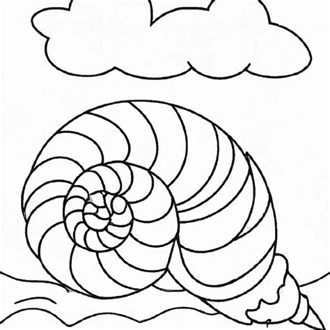 10 Desenhos Incríveis de Caramujos do Mar para Imprimir e Colorir