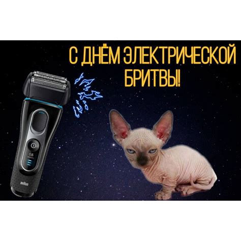 Бритая киска крупным планом обсуждение на форуме