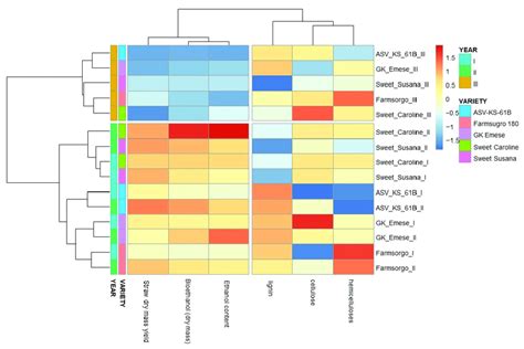 Heat Map Extended With The Results Of The Cluster Analysis A Cluster