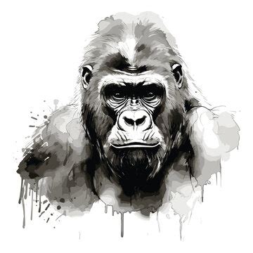 Gorilla Face Over 19 122 Royalty Free Licensable Stock Vectors Clip