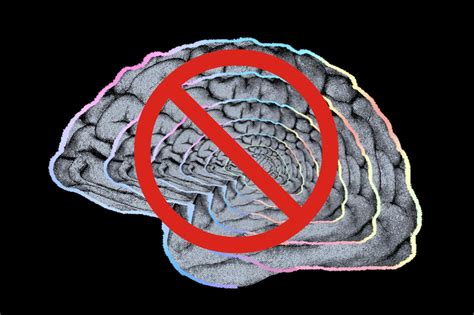 Neuralink la puce cérébrale d Elon Musk privée d essai clinique