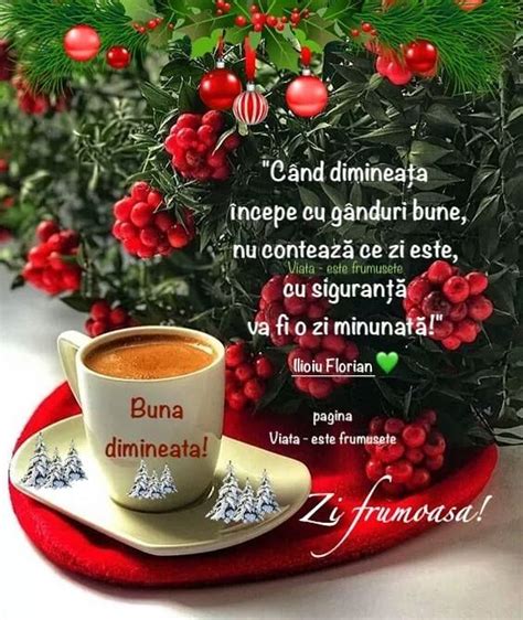Mesaje Frumoase De Sambata Dimineata Buna Dimineata Wilford Bosco