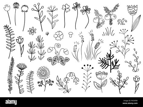 Florale grafische Elemente große Vektor einrichten Doodle Blumen und