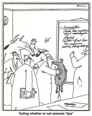 Imgur Far Side Cartoons The Far Side Gallery Gary Larson Cartoons