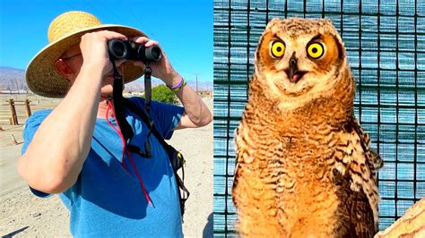 We Went BIRD WATCHING At The Coachella Valley Wild Bird Center YouTube