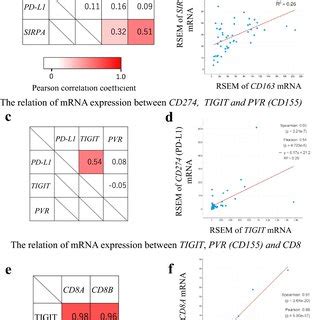 Relationship Between The Expression Of PD L1 On Tumor Cells And The