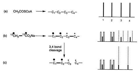 Ac Simulated Proton Noise Decoupled C Nmr Spectra Of A