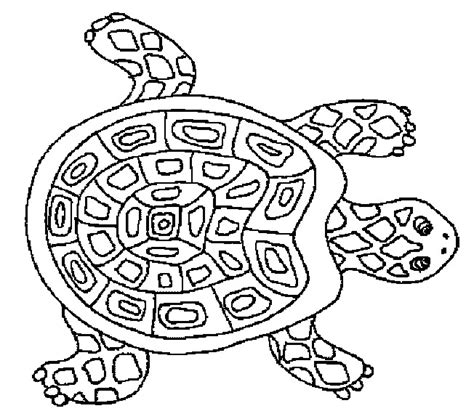 Ooze Pharmacology Excuse Dessin Tortue A Imprimer Exclusive Peephole Sew