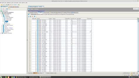 dbvisualizer 10 0 powerful database tool for linux manjaro dot site