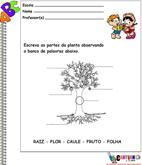 CANTINHO SABER As plantas flores Atividades 2º Ano