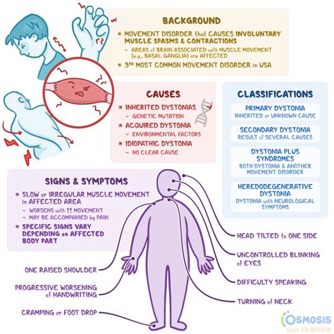 Understanding Dystonia Causes Symptoms And Treatment Ask The Nurse