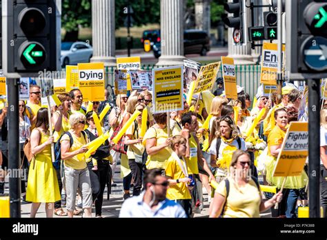 London Großbritannien 22 Juni 2018 Leute Schilder an