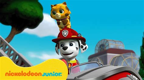 PAW Patrol La Pat Patrouille Pat Patrouille à la rescousse d