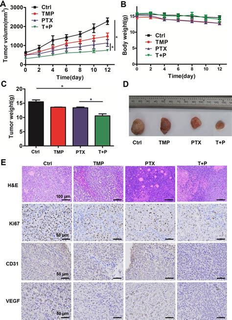 TMP Enhances The Antitumor Effect Of PTX In Vivo A Average Tumor