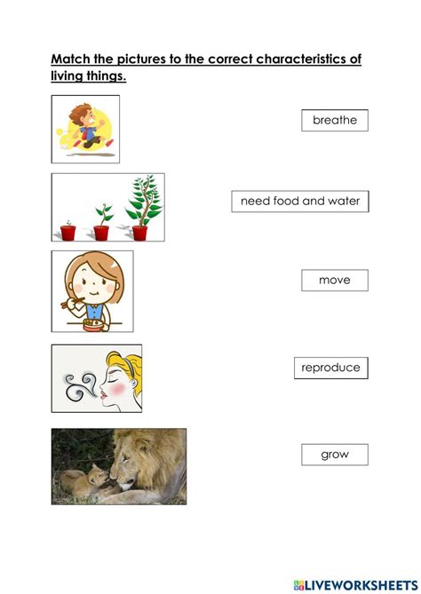 Characteristics Of Living Things Activity For Grade 1