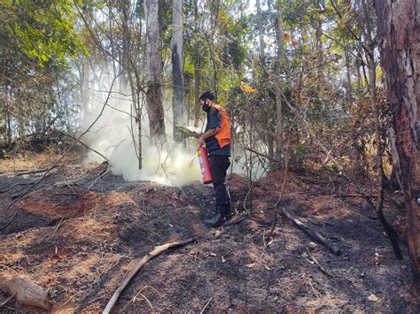 Prefeitura Municipal De Itabira Meio Ambiente Faz Alerta Sobre