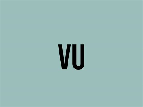 What Does Vu Mean Meaning Uses And More FluentSlang