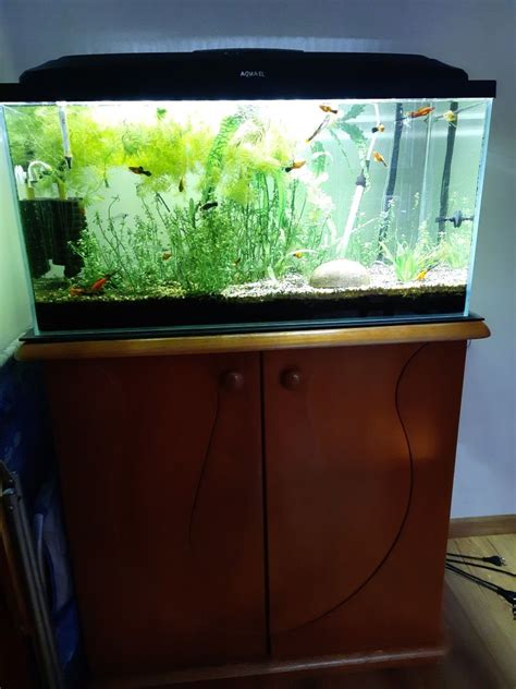 Sprzedam akwarium 112l optiwhite aquael z wyposażeniem Piaseczno OLX pl